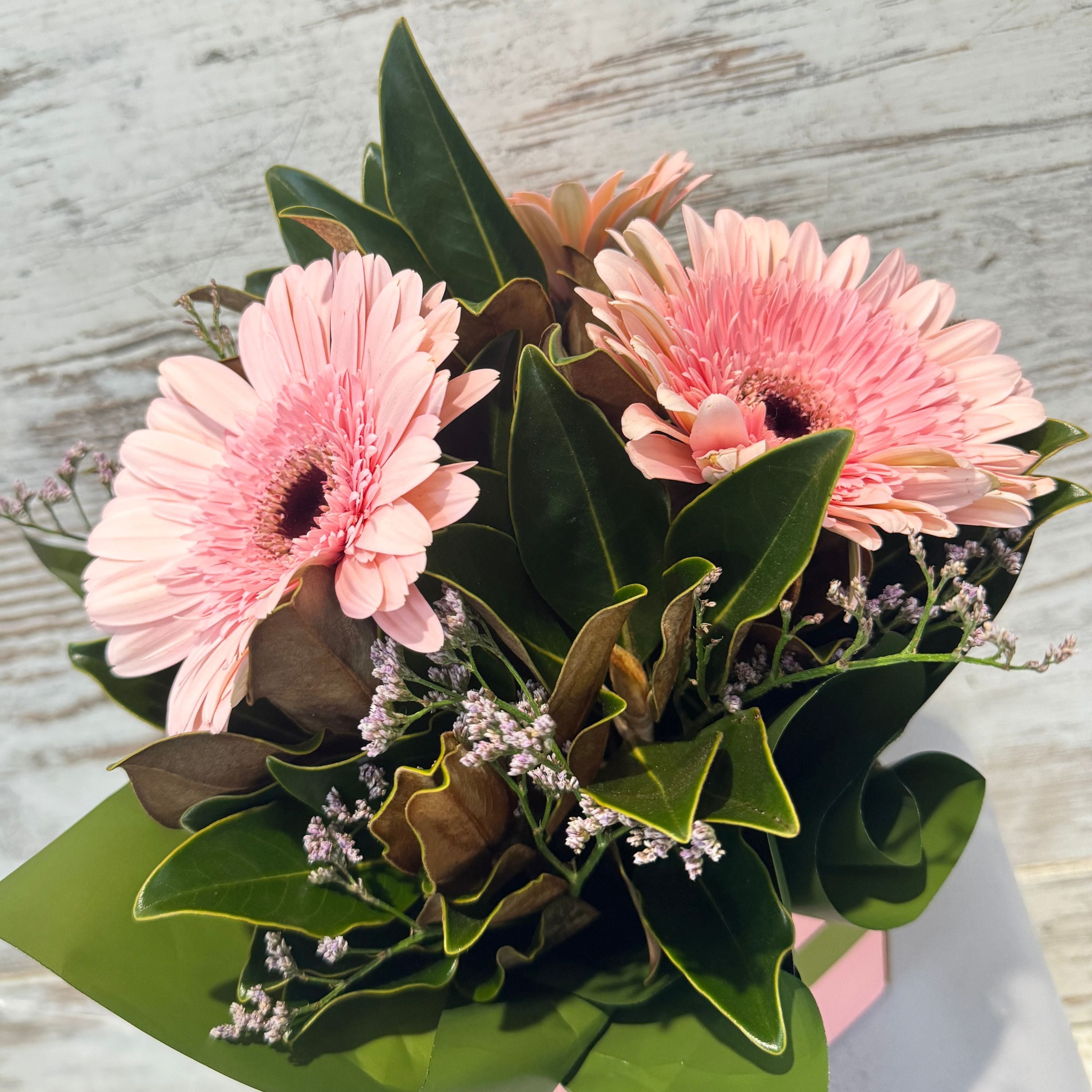 Today's Fresh Floral Designs - Moranbah Blooms